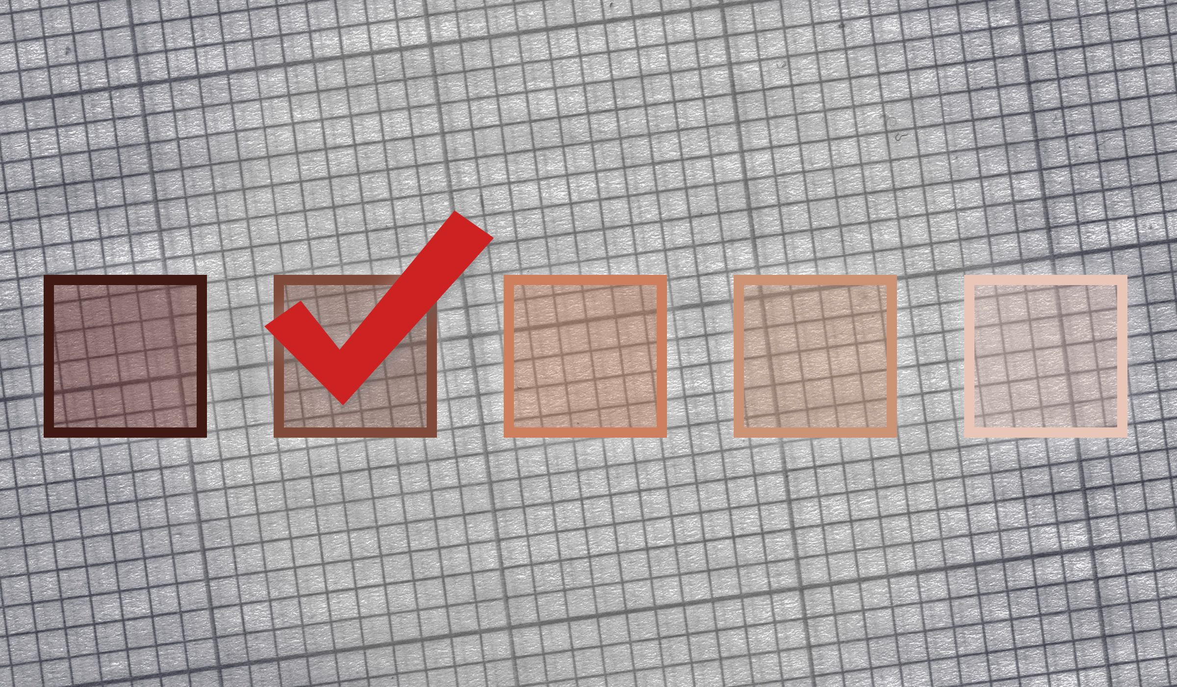 Not Quite Not White - Longreads