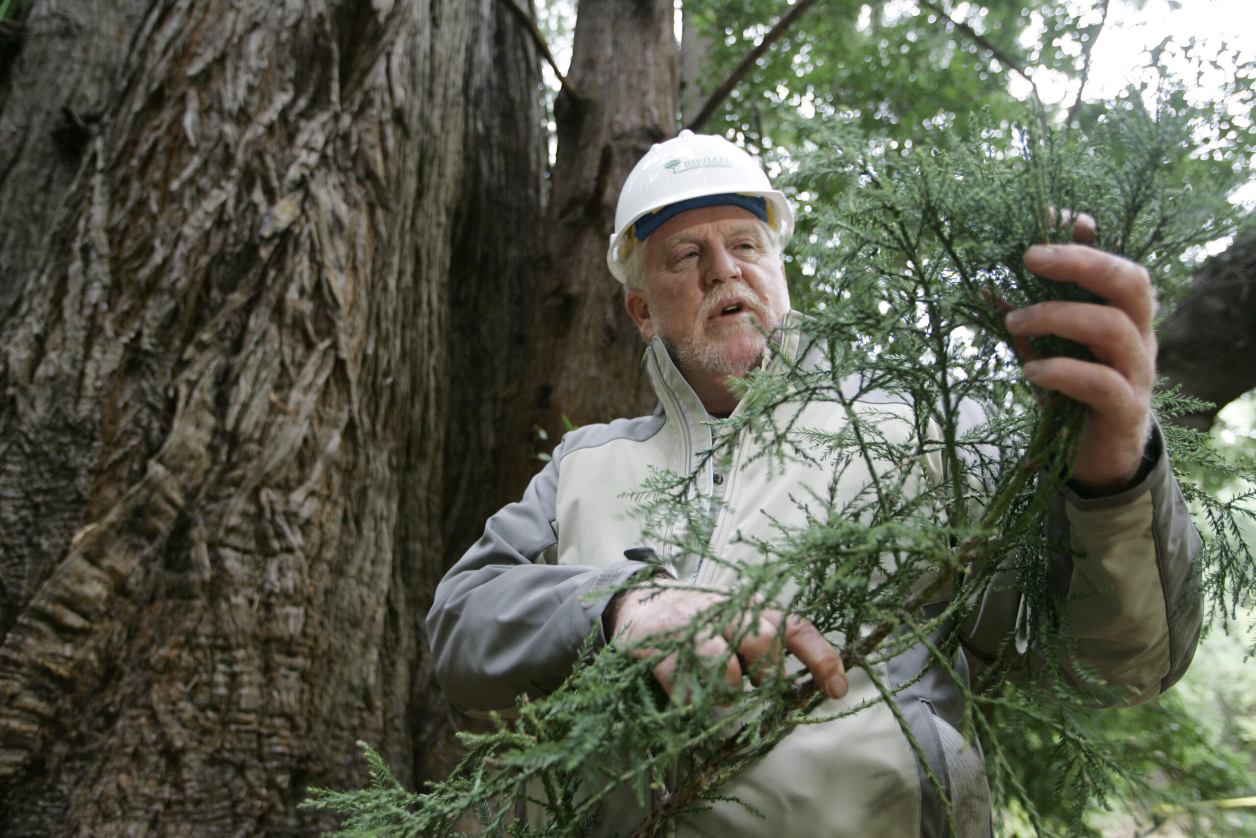 The Difficult Case for Assisted Plant Migration - Longreads